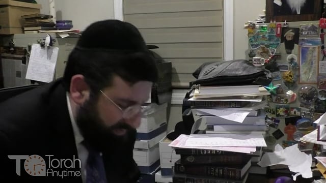 R' Daniel Glatstein | Daf Hashavua - Chagigah 19b