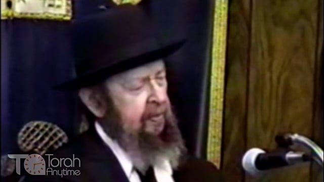 R' Avigdor Miller ZTL | The Righteous Walk in Them