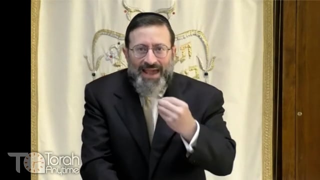R' Eytan Feiner | Hoshana Raba, David HaMelech, & His Special ...