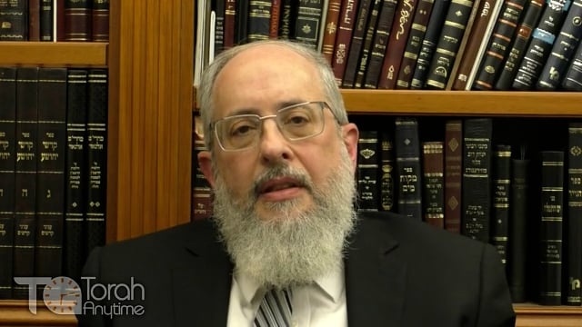 R' Doniel Lander | Parashat Vayigash: New Horizons