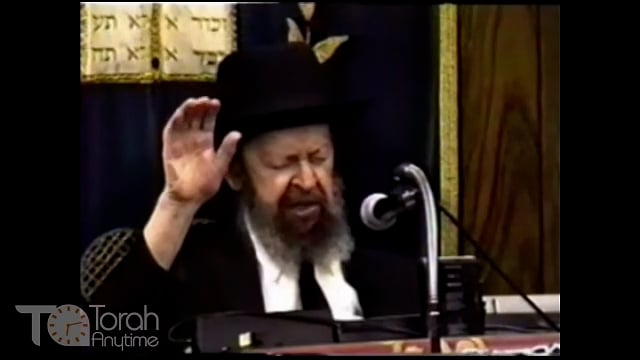 R' Avigdor Miller ZTL | Creation Of The Mind