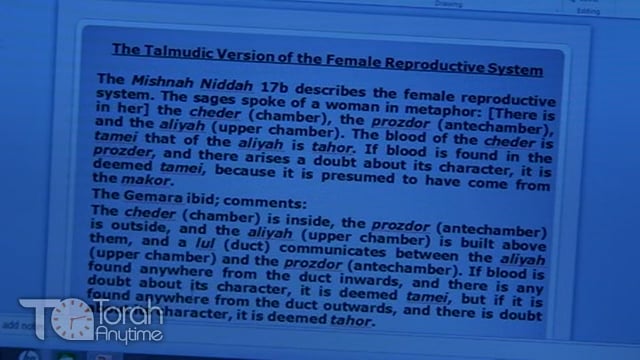 R' Natan Gadayev | OB/GYN Procedures & Niddah Part 1 (Contains sensitive material for married ...