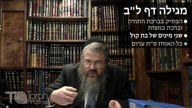 R' Moshe Chaim Katz | Megillah daf 32 Hefsik by birchat hatorah ...