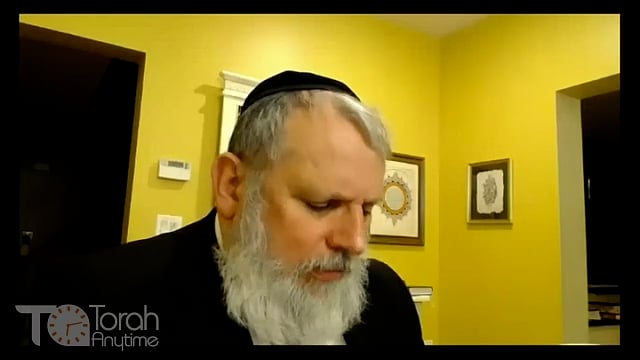 R' Shmuel Greenberg | Daf Yomi: Chagigah 7a-b