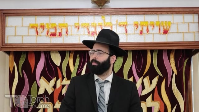 R' Aryeh Kerzner | Re'eh: The Amazing Story of R' Moshe Sherer and His ...
