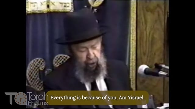 R' Avigdor Miller ZTL | Toras Avigdor Q&A episode 6 - Why Learn Mussar?