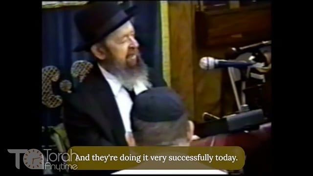 R' Avigdor Miller ZTL | Toras Avigdor Q&A Episode 8 - Israeli Politicians