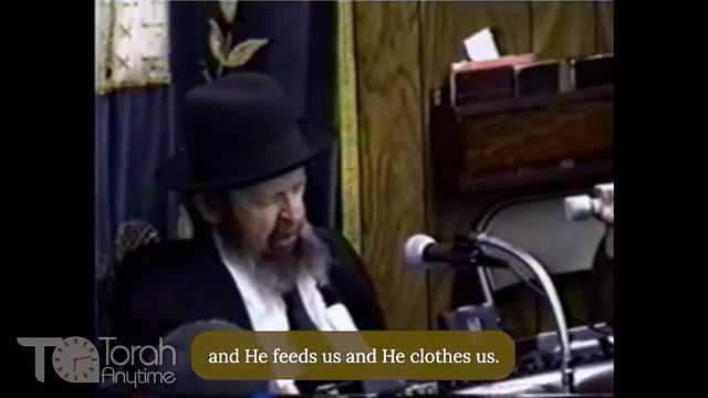 R' Avigdor Miller ZTL | Toras Avigdor Q&A Episode 9 - The Avos