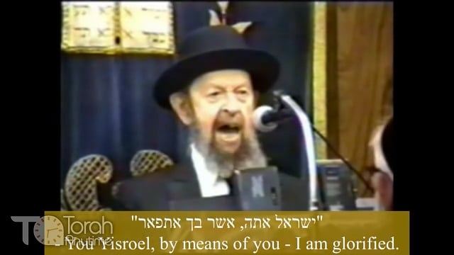 R' Avigdor Miller ZTL | Toras Avigdor Q&A Episode 17 - Kiddush Hashem