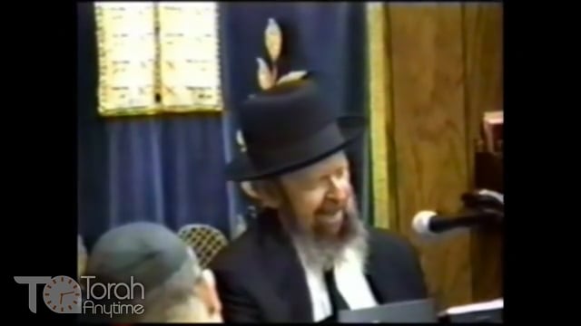 R' Avigdor Miller ZTL | Toras Avigdor Q&A Episode 19 - Creating Happy ...