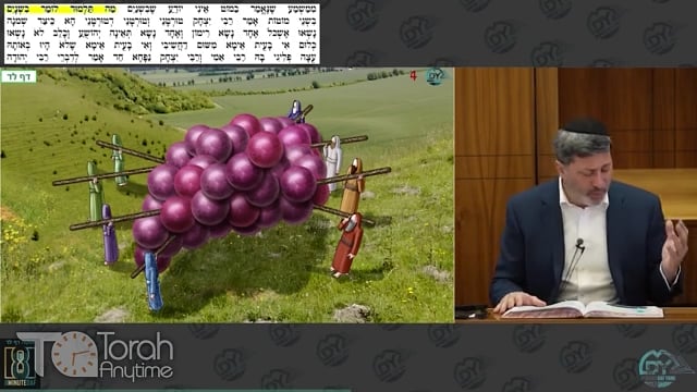 R' Eli Stefansky | Daf Yomi Sotah Daf 34