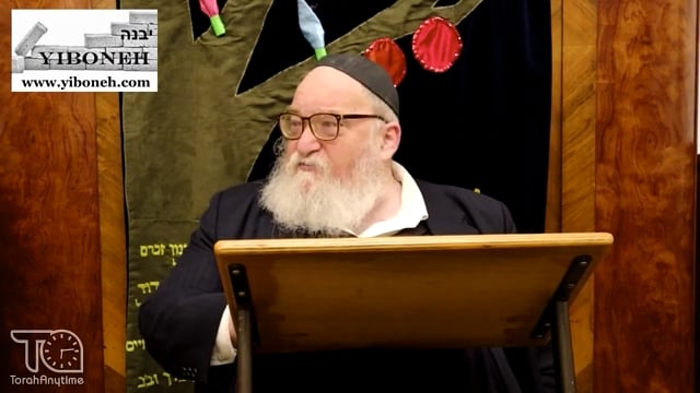 R' Yitzchak Breitowitz | Parshat Beshalach: Mindfulness, Gratitude, & Unity