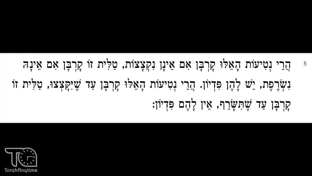 R' Shmuel Wise | Real Clear Mishnah; Nedarim 3:5-6