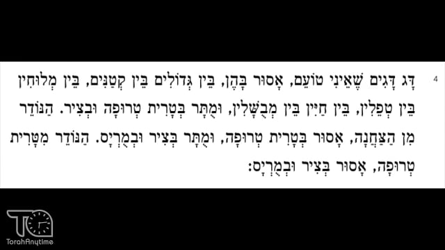 R' Shmuel Wise | Real Clear Mishnah; Nedarim 6:4-5
