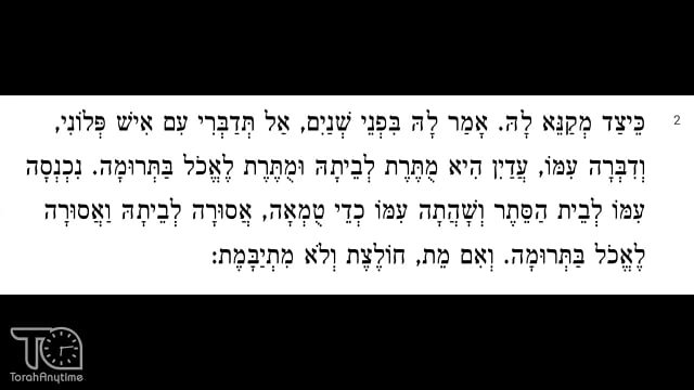 R' Shmuel Wise | Real Clear Mishnah; Sotah 1:2-3