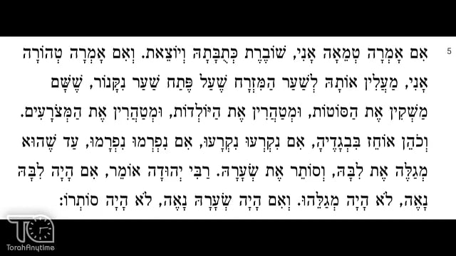 R' Shmuel Wise | Real Clear Mishnah; Sotah 1:4-5