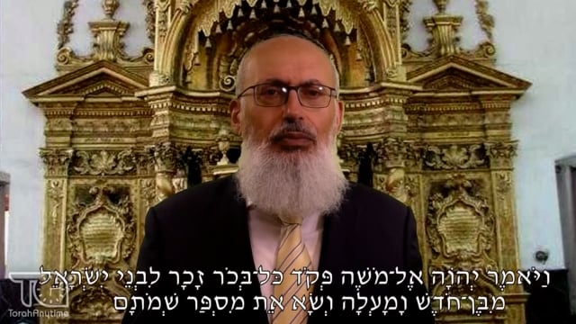 R' Avraham Nissanian | Parashat BaMidbar the Fifth Aliyah -2024