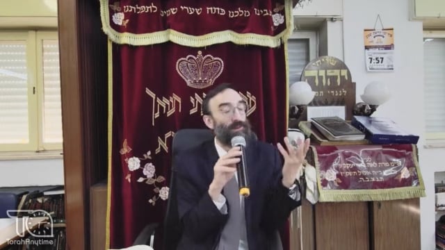 R' Shraga Kallus | Hilchos Niddah Beiyun 15 - (In Depth Siman 197c) - Being Toivel Bein Hashmashos