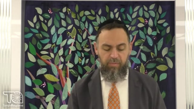 R' Yehoshua Sova | Amud Yomi Eruvin 2a