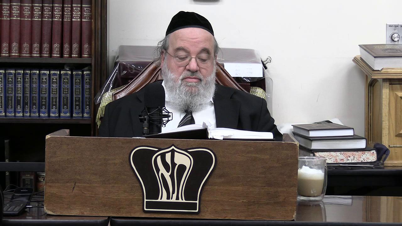 R' Yisroel Brog | Parashat Shemot - Saving klal Yisroel and distancing ...