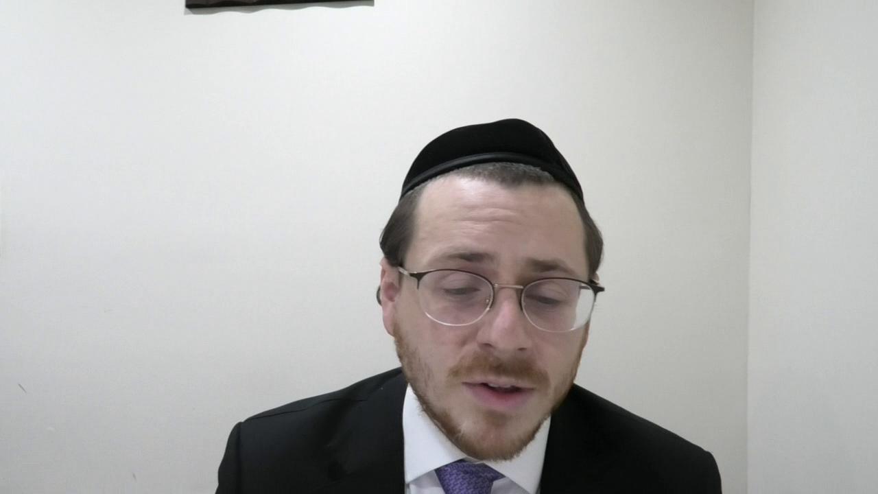 R' Binyomin Gleiberman | Oraysa's Weekly Chazara Shiur Beitzah 8B - 10B