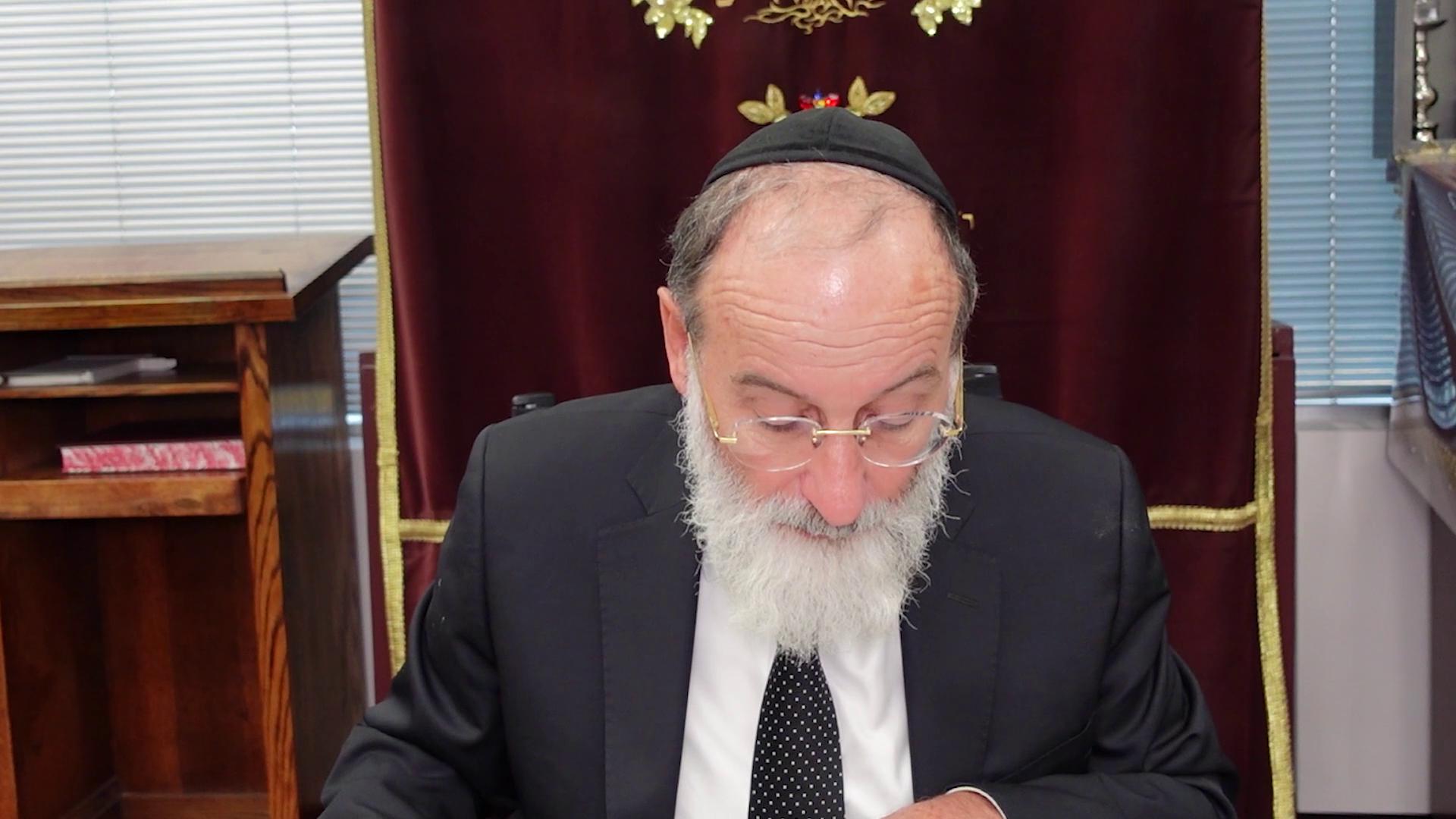 R' Dovid Hofstedter | Dirshu Amud Yomi: Eruvin 28A