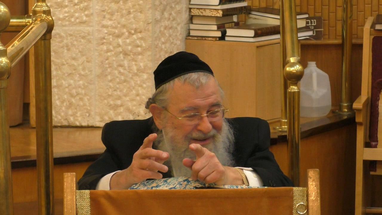 R' Noach Isaac Oelbaum | Zera Shimshon Part 8 - Amazing Chasam Sofer ...