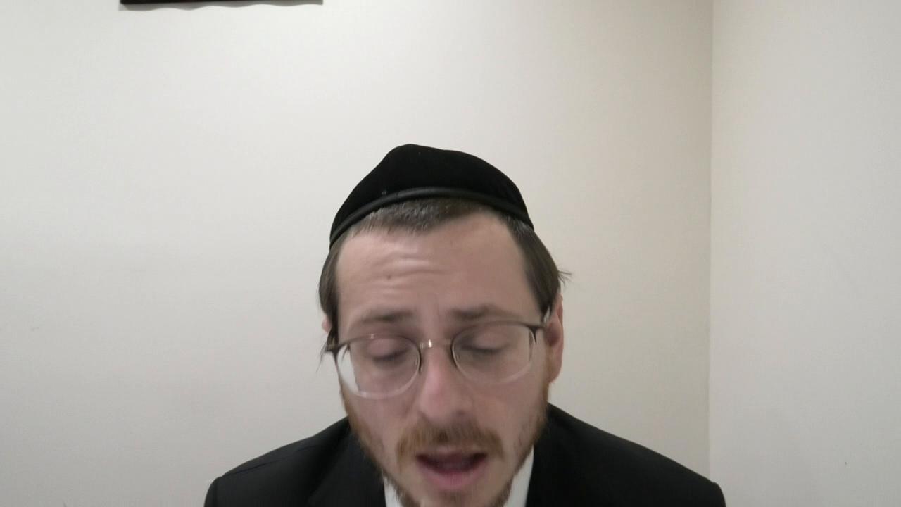 R' Binyomin Gleiberman | Oraysa's Weekly Chazara Shiur Beitzah 13B - 15B