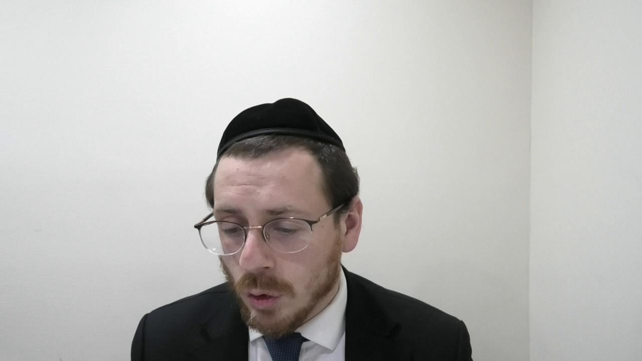 R' Binyomin Gleiberman | Oraysa's Weekly Chazara Shiur Beitzah 16A - 18A