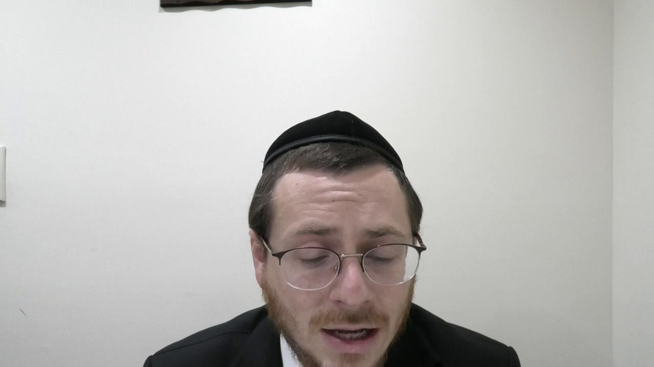 R' Binyomin Gleiberman | Oraysa's Weekly Chazara Shiur Beitzah 18B - 20B