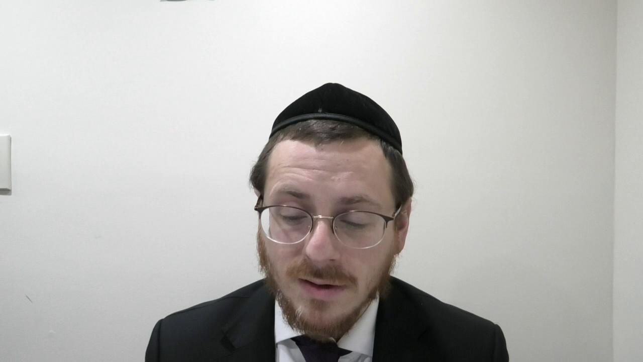 R' Binyomin Gleiberman | Oraysa's Weekly Chazara Shiur Beitzah 21A - 23A
