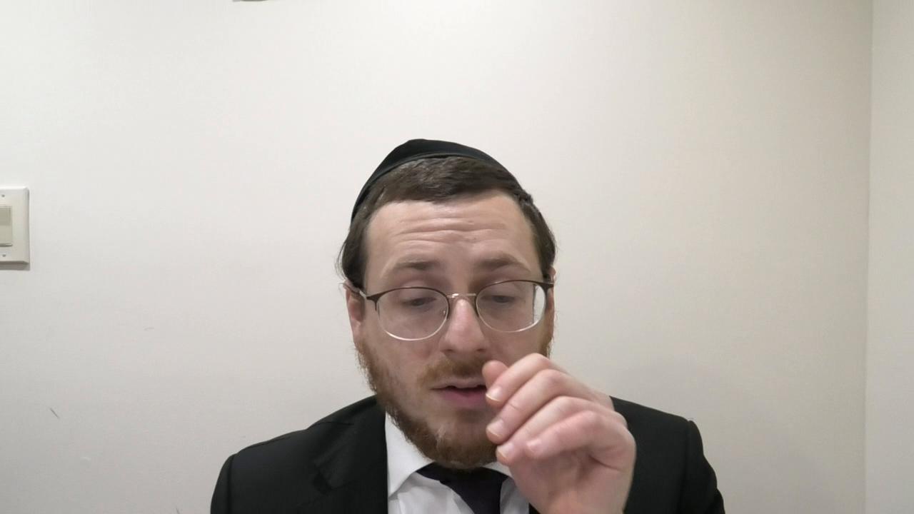 R' Binyomin Gleiberman | Oraysa's Weekly Chazara Shiur Beitzah 23B - 25B