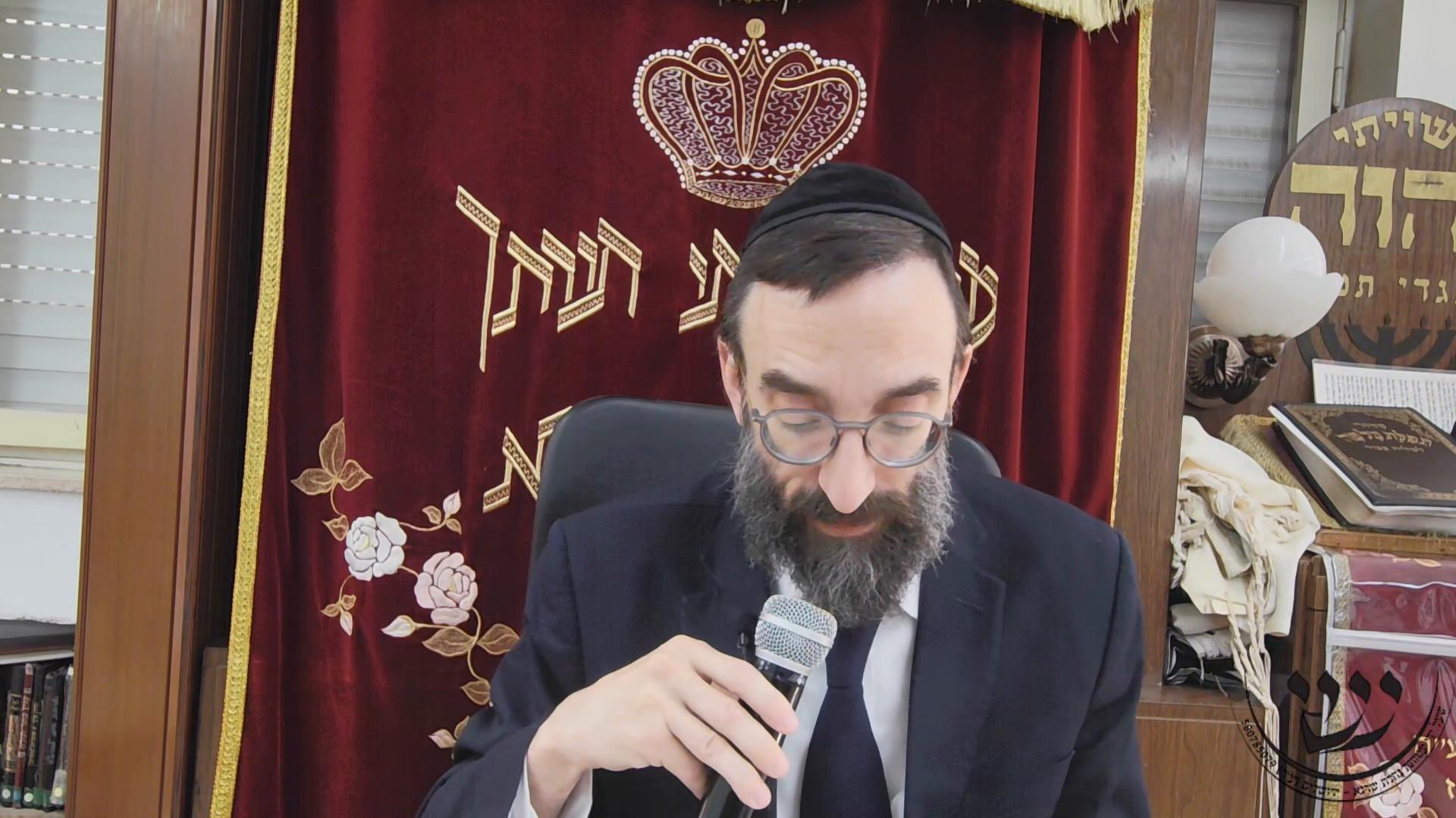 R' Shraga Kallus | Hilchos Niddah Beiyun 52a - (In Depth Siman Siman 185d) - Blameless Situations