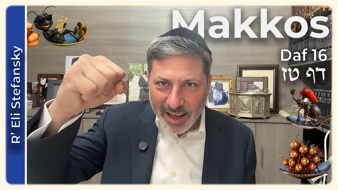 R' Eli Stefansky | Daf Yomi Makkos Daf 16