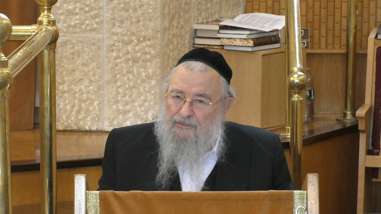 R' Noach Isaac Oelbaum | Daf Yomi: Makkot Daf 16