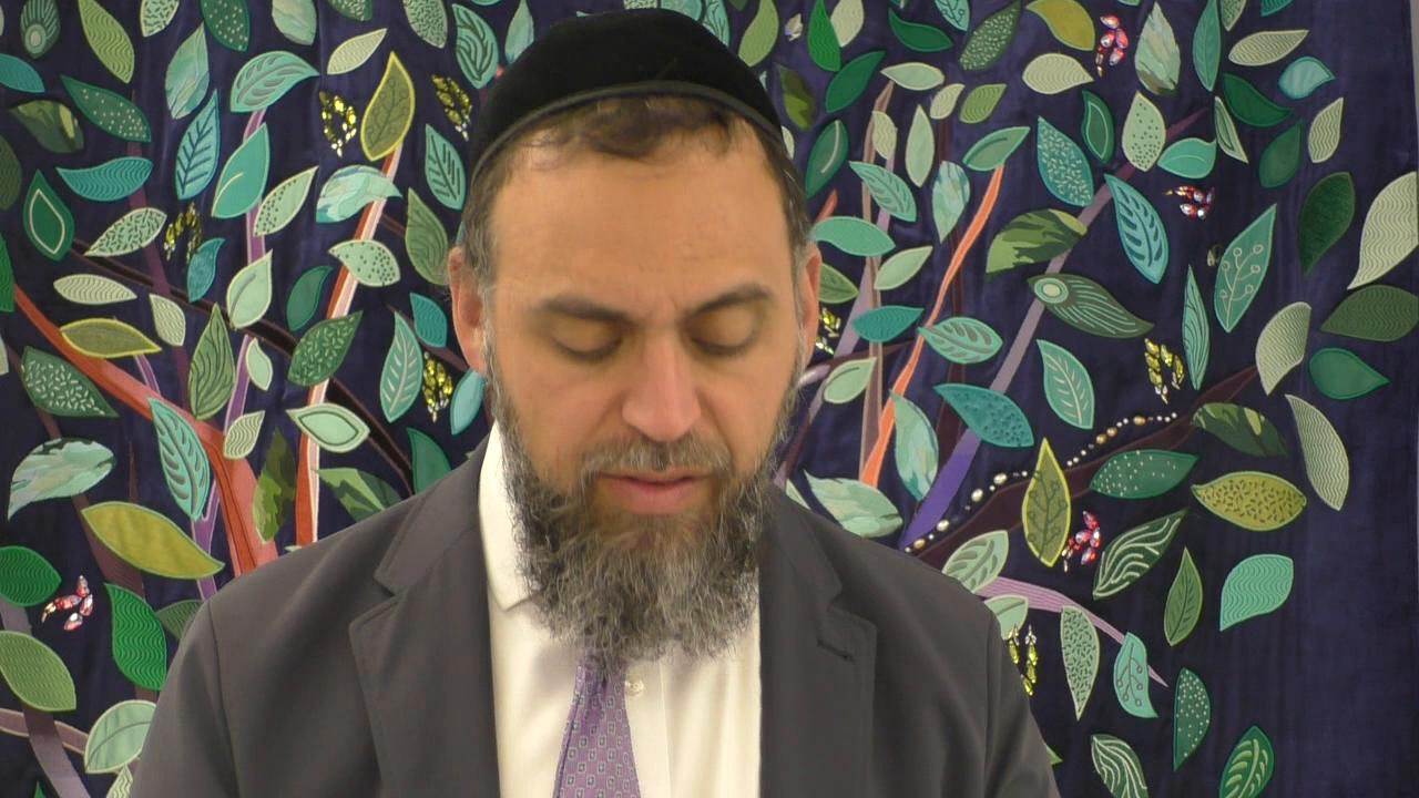 R' Yehoshua Sova | Shekel HaKodesh 1-5 Beiur HaHalacha
