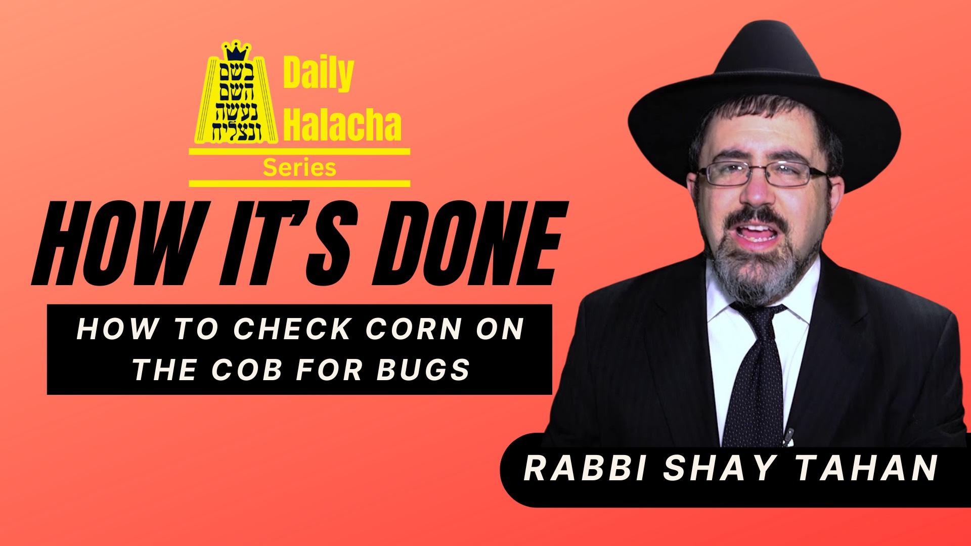 R' Shay Tahan | BHP How It’s Done Series - Episode 22: How to Check ...