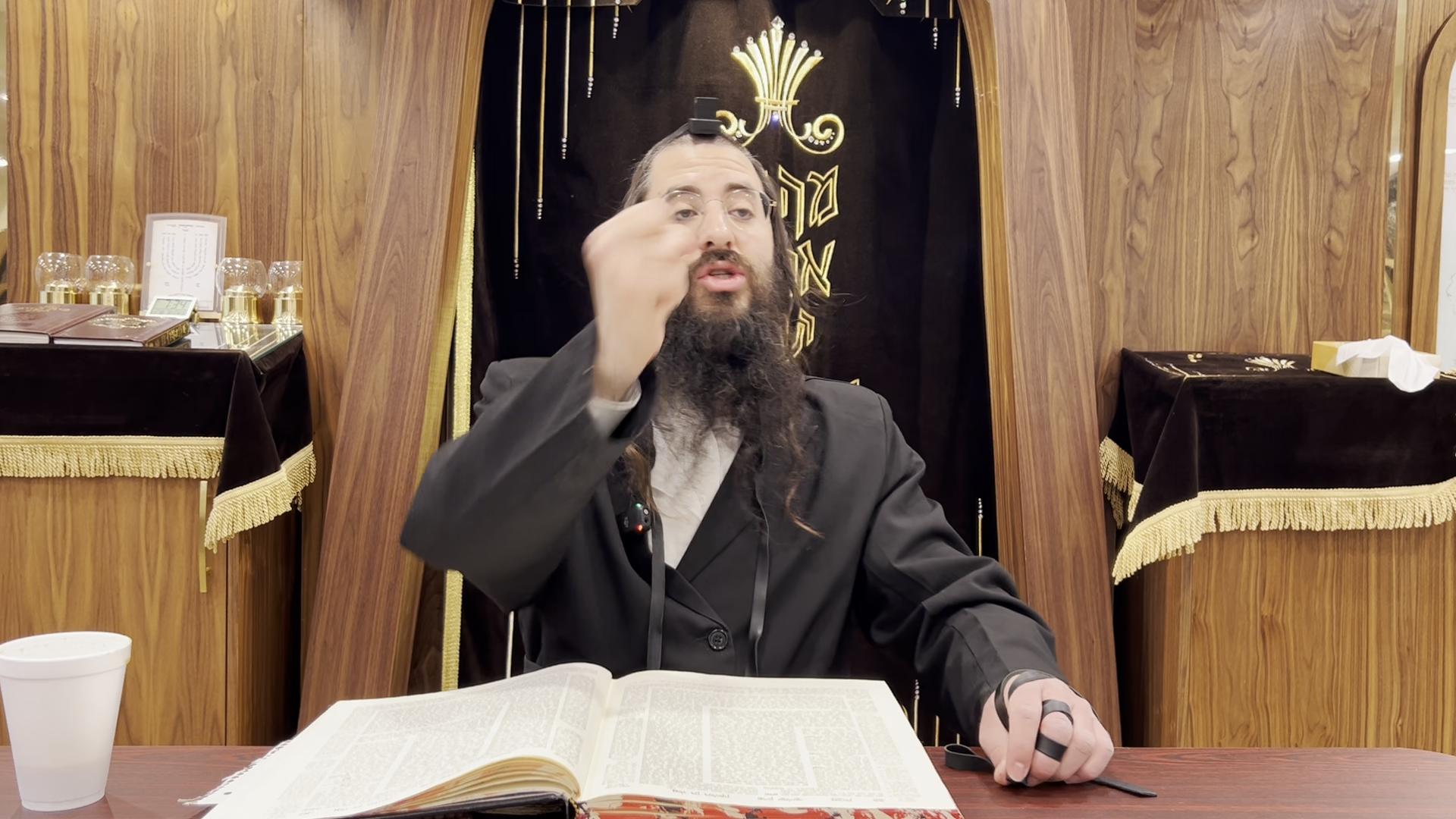 R' Chaim Ozer Geldzahler | Daf Yomi: Makkos 22
