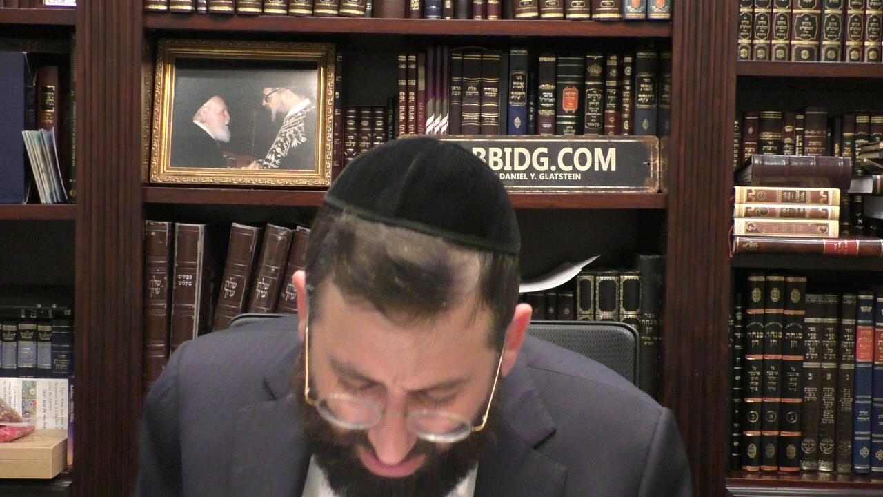 R' Daniel Glatstein | Daf Hashavua - Nedarim 28b