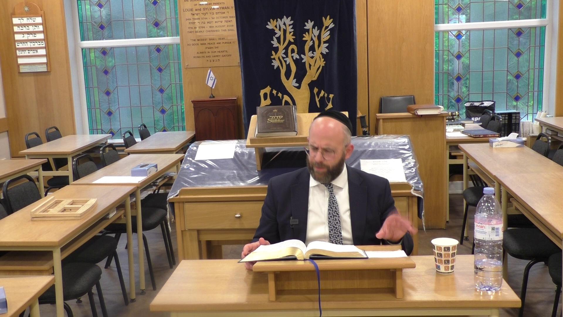 R' Dovid Eisenberg | Did feminism cause the meraglim?