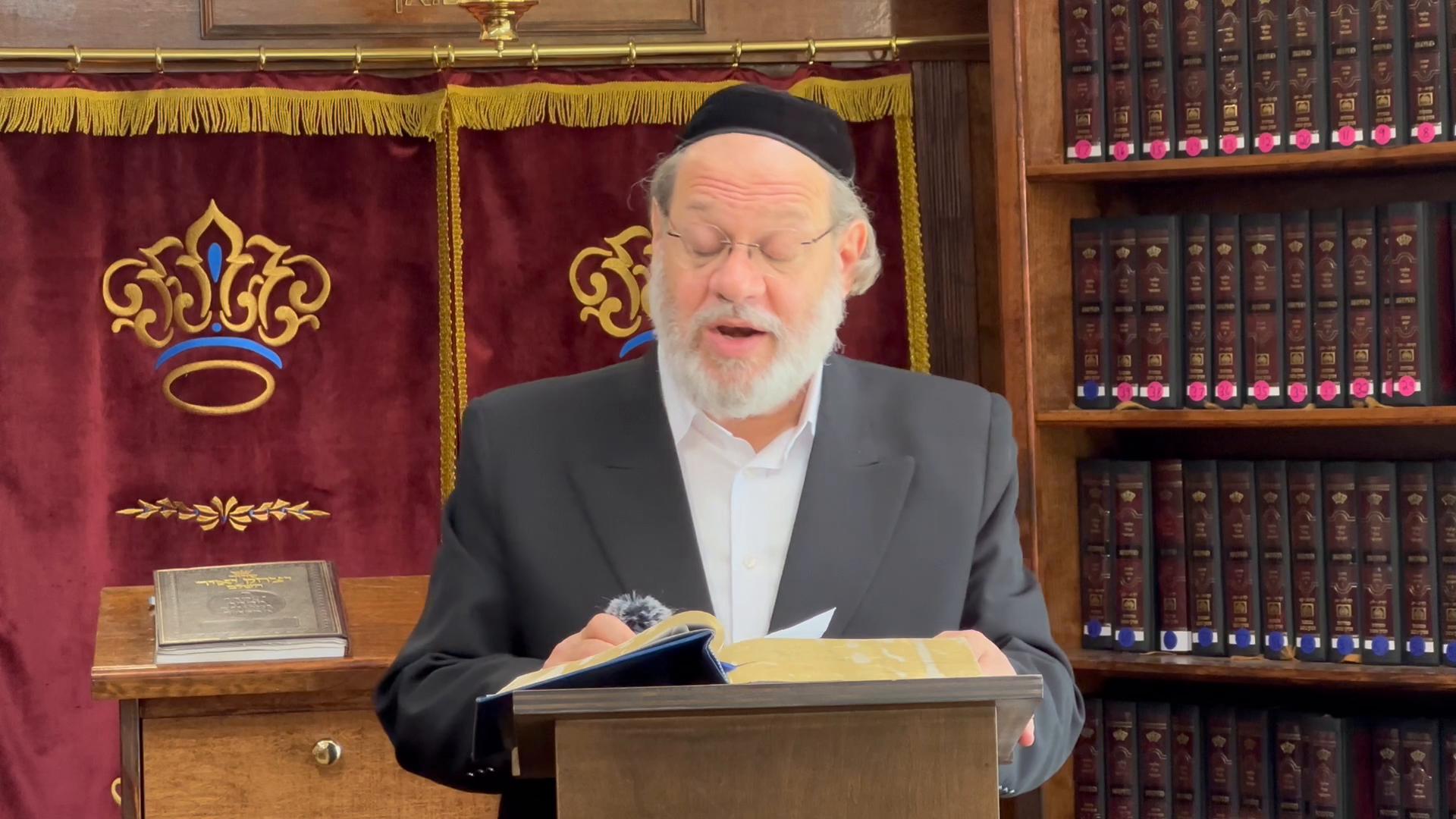 R' Mordechai Salfer | Connecting the Dots: Tikkun of the Meraglim