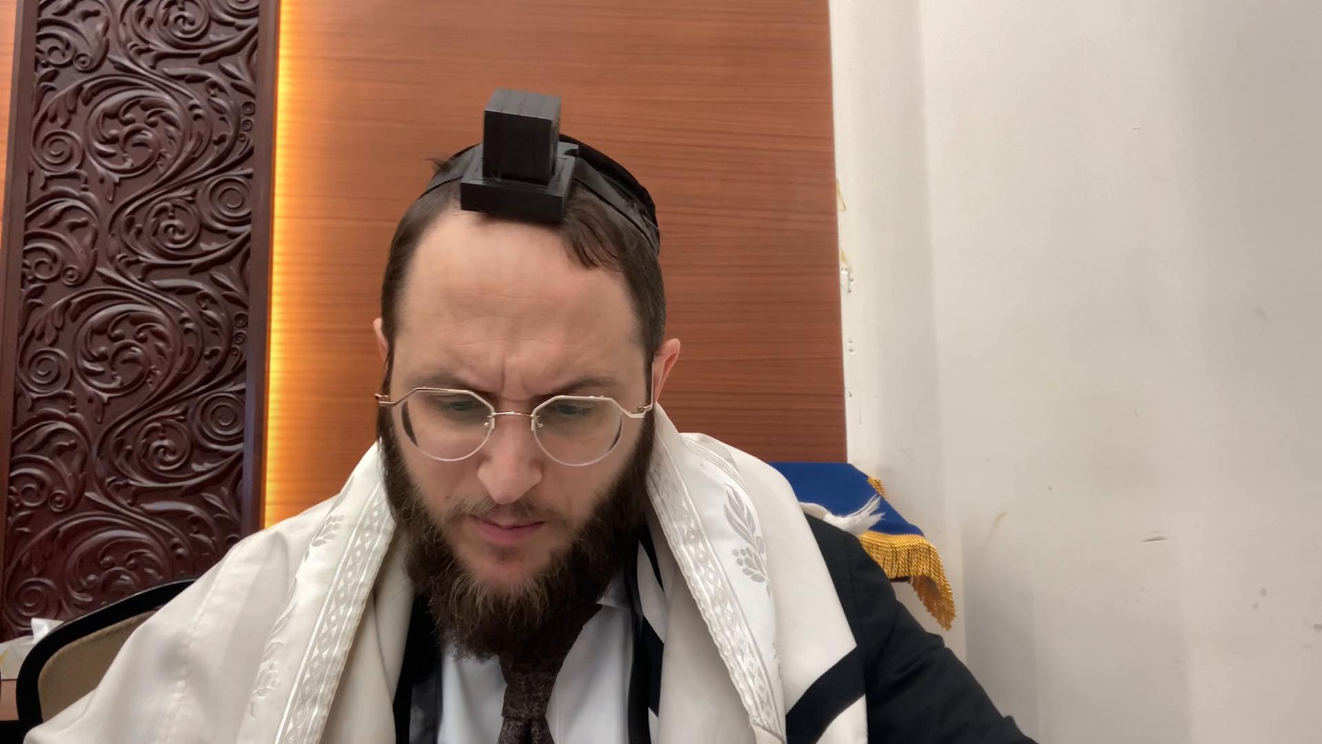 R' Hillel Feldman | Mishna Yomi- Zevachim 4:6-5:1