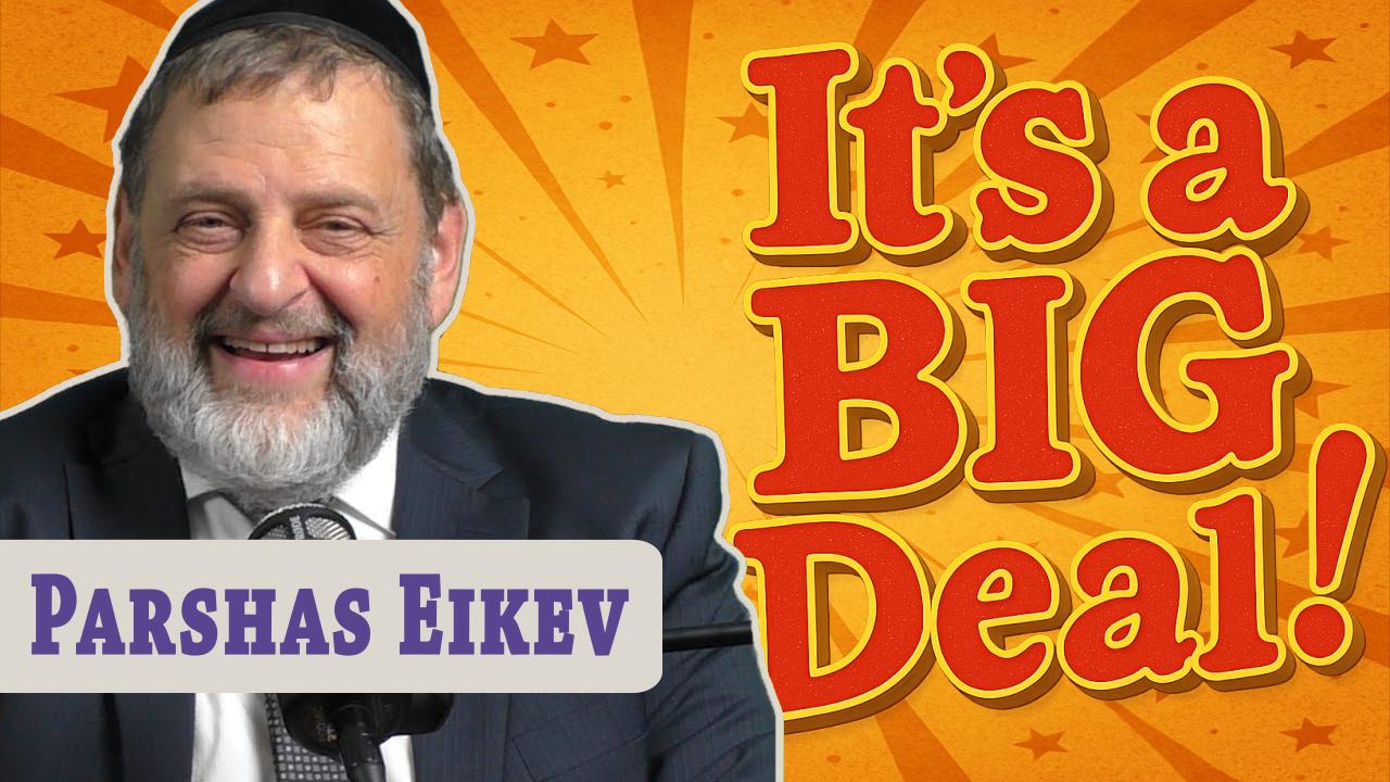 R' Dovid Orlofsky | Eikev - It's a big deal
