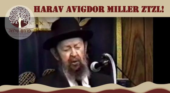 R' Avigdor Miller ZTL | פרדס שלמה טעגליך: שטארק! (אלול)
