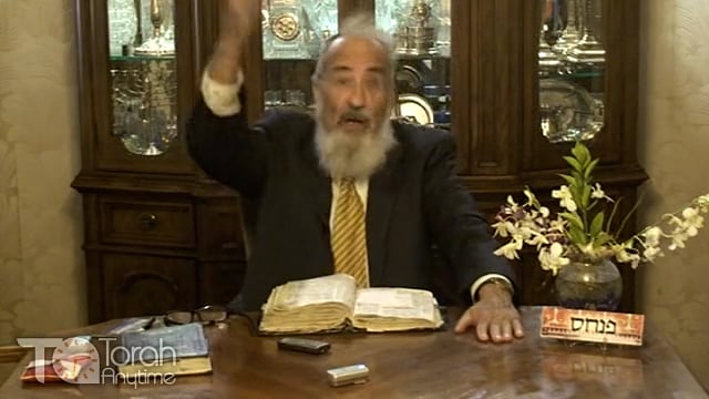 R' Yosef Chaim Schwab | Parashat Pinchas: Part 2 - The 5 Daughters of ...