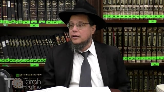 R' Shlomo Cynamon | Lomdut on Ner Chanukah and Milah; Brisker Rav
